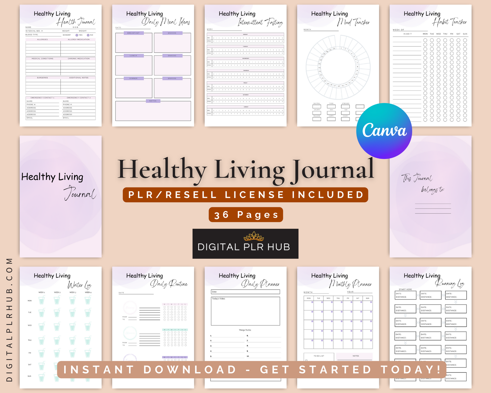 PLR Fitness Bundle – Editable Fitness Planners to Sell – Digital PLR Hub