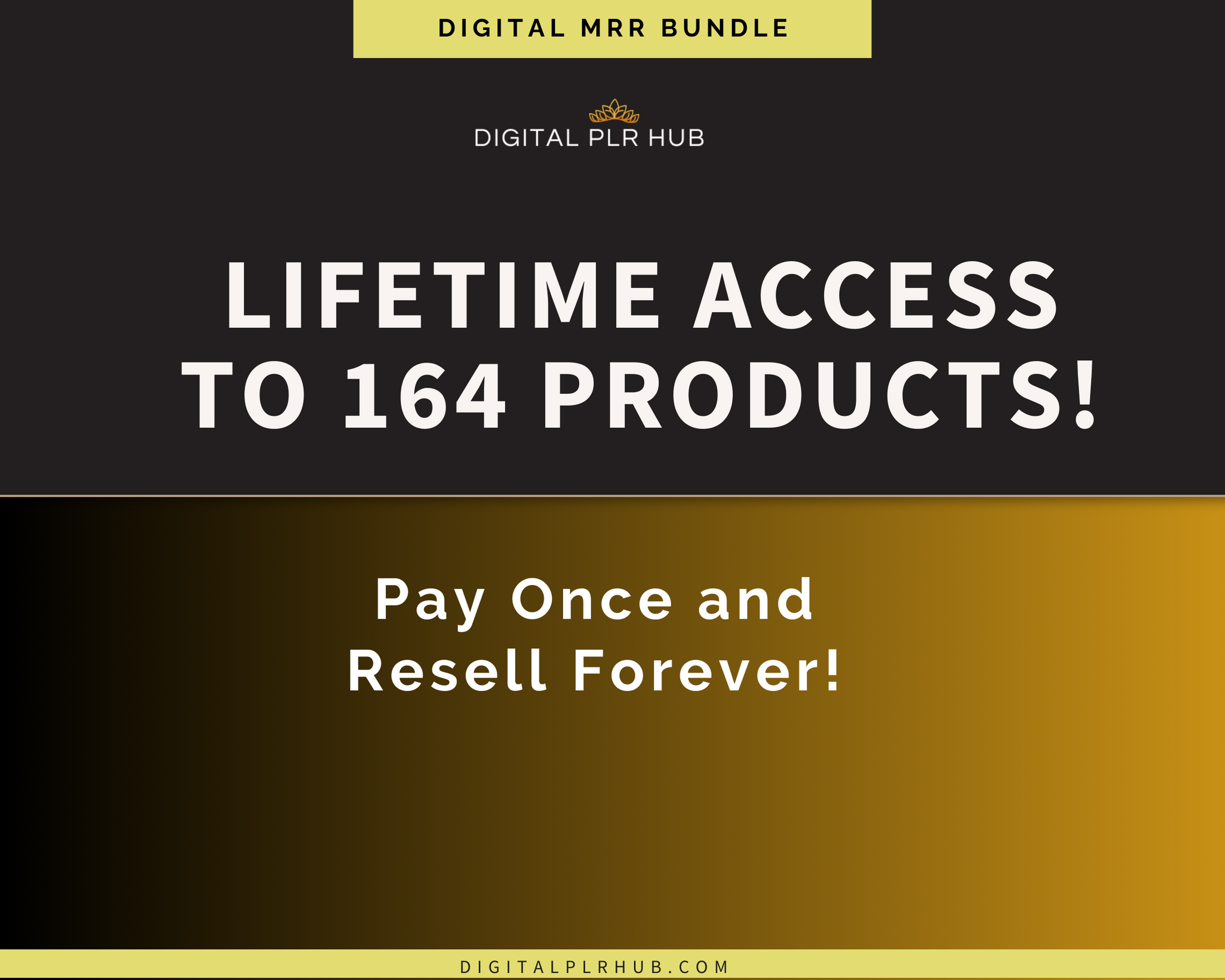 Digital MRR Bundle – Digital PLR Hub