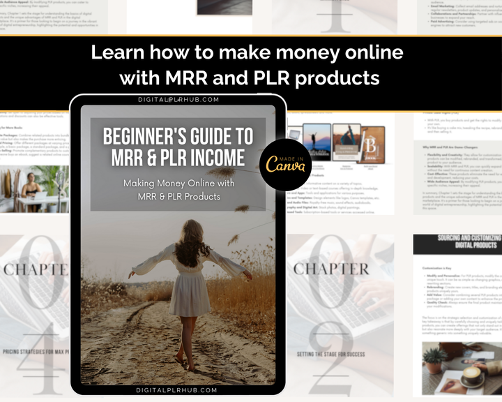 Digital PLR Hub