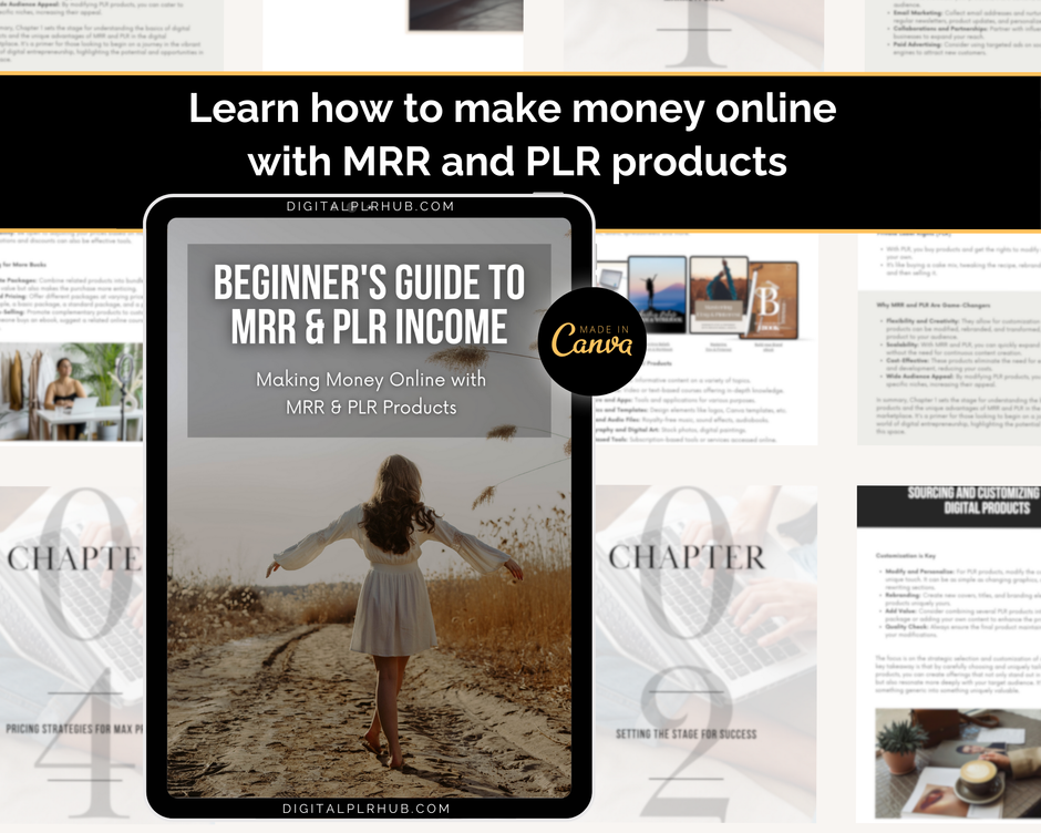 Digital PLR Hub