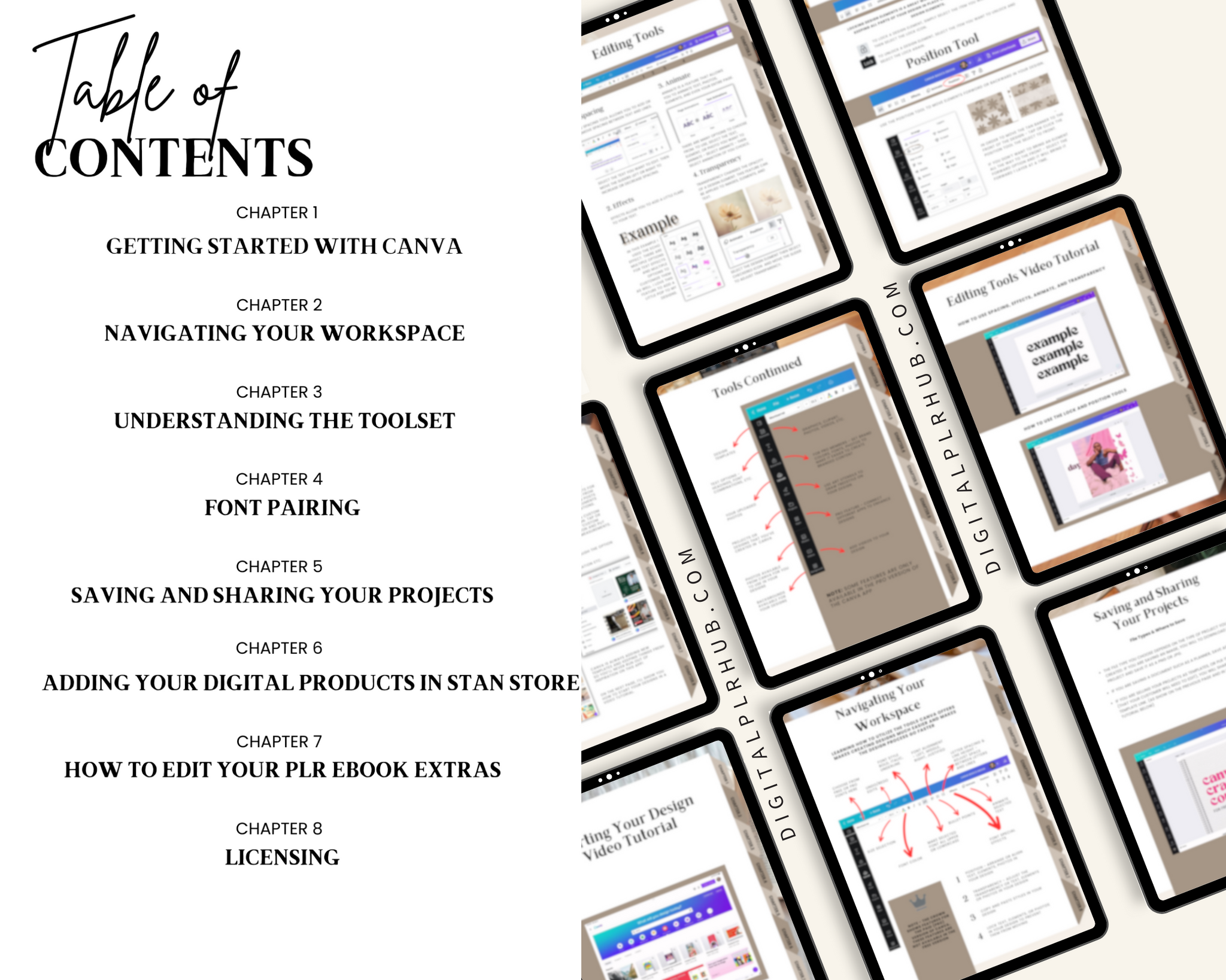 Canva Basics Guide MRR – Digital PLR Hub