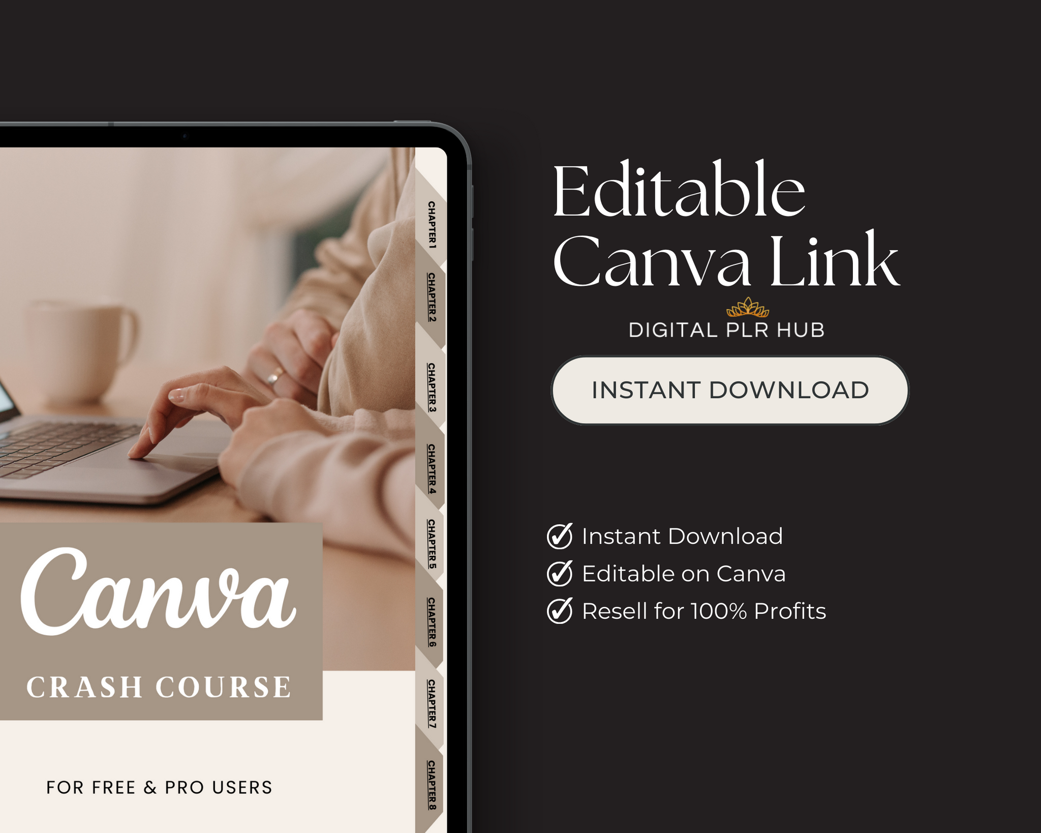 Canva Basics Guide MRR – Digital PLR Hub