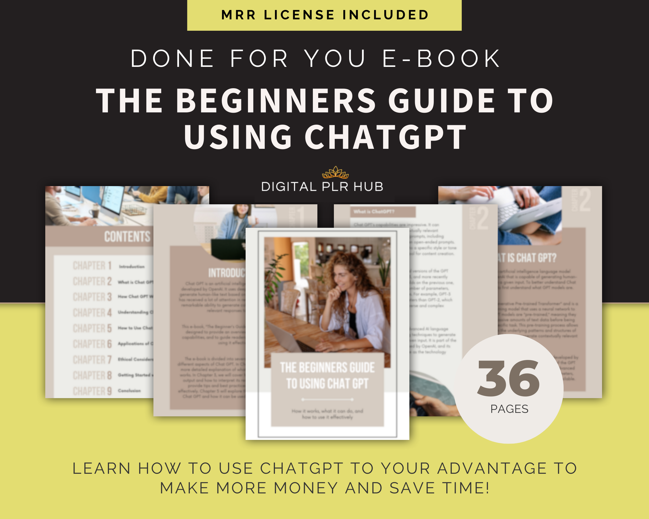 MRR Products – Digital PLR Hub